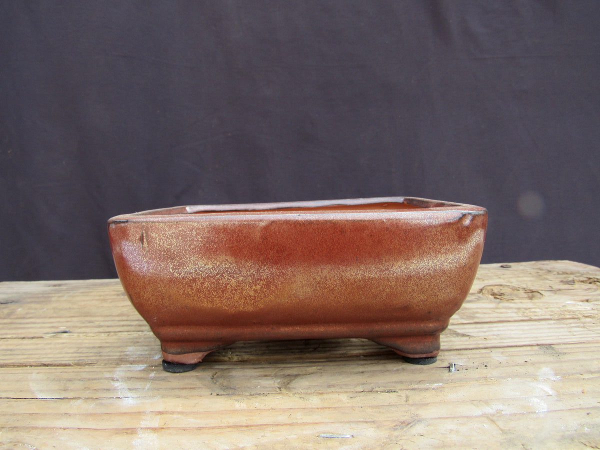 Aztec Orange Ceramic Professional Bonsai Pot - Rectangle - 6" x 4" x 2